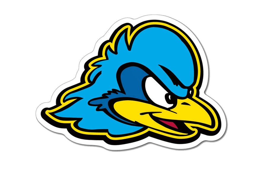 Delaware Blue Hens Helmets – The Speedy Cheetah