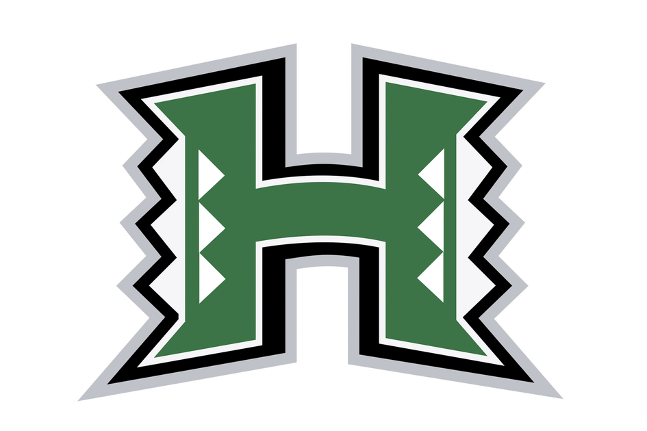 Hawaii Rainbow Warriors Helmet - Hawaii Football Helmet – The Speedy ...