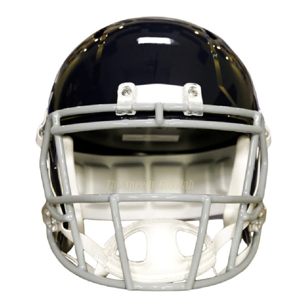Chicago Bears 1962-73 Riddell Throwback Replica Helmet – The Speedy Cheetah